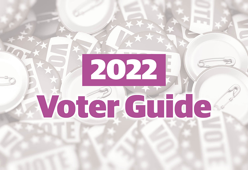 2022 Voter Guide | Houston Austin Dallas-Fort Worth San Antonio ...